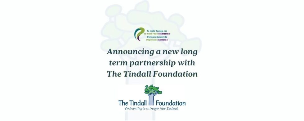 New Partnership with Tindall Foundation announced!